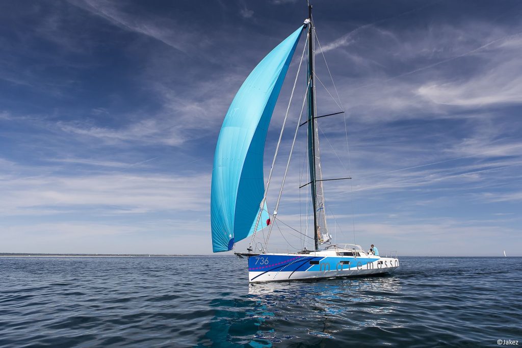 Pogo 50 - POGO STRUCTURES