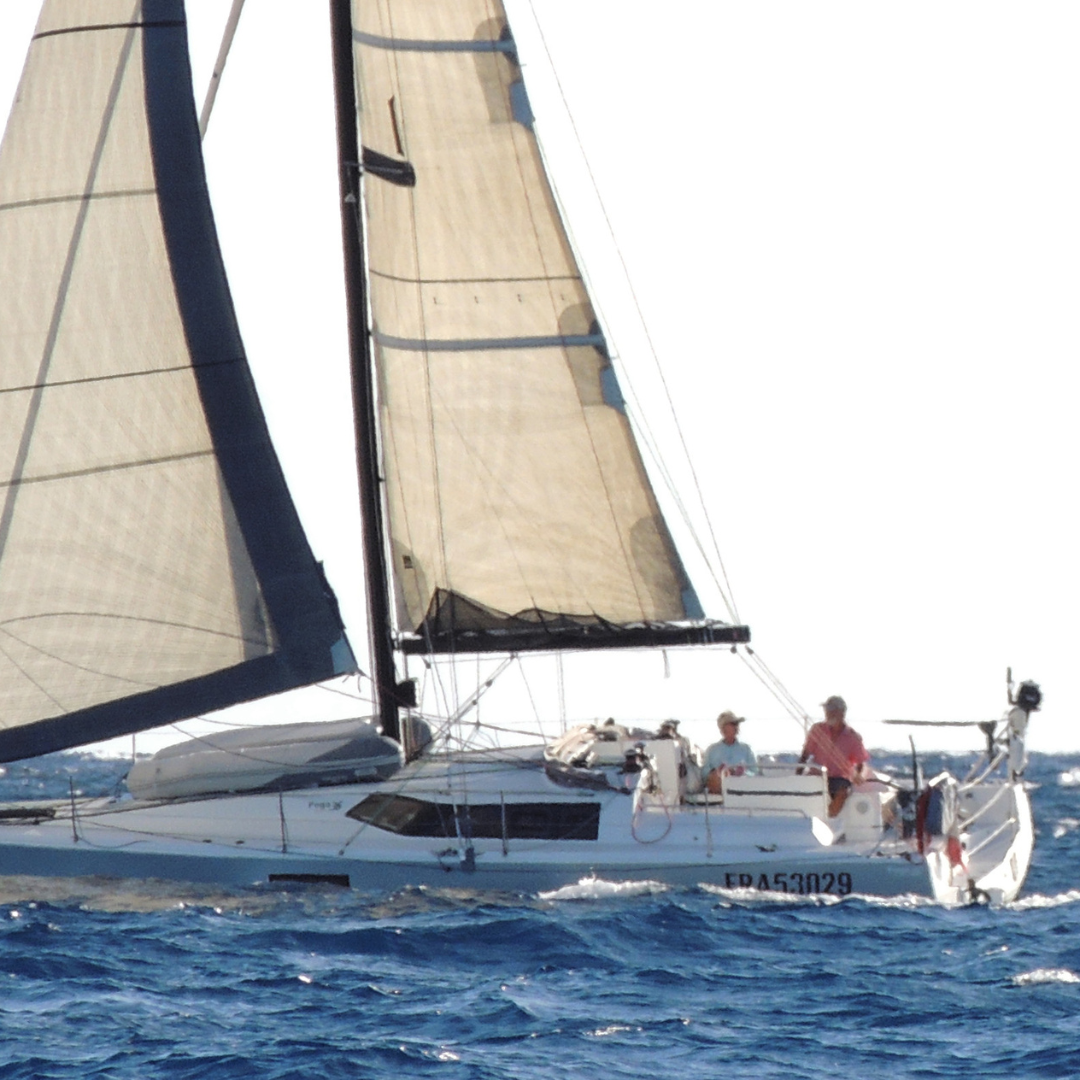 L'histoire d'Amarys - Pogo 36 - POGO STRUCTURES